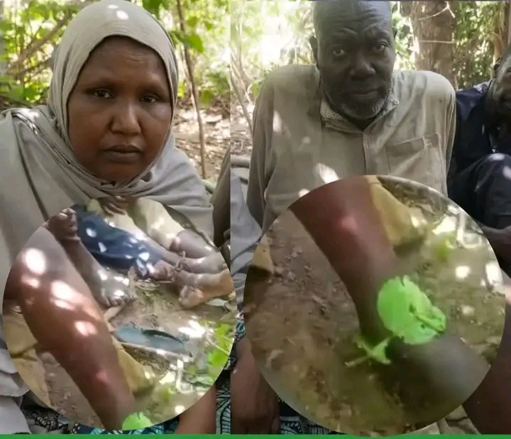 Kidnapped Ex-Military Spokesman, Maj.-Gen. Rabe Abubakar, dies in ...